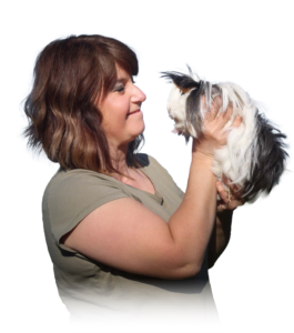 Prestations pet sitter - Les Papouilles